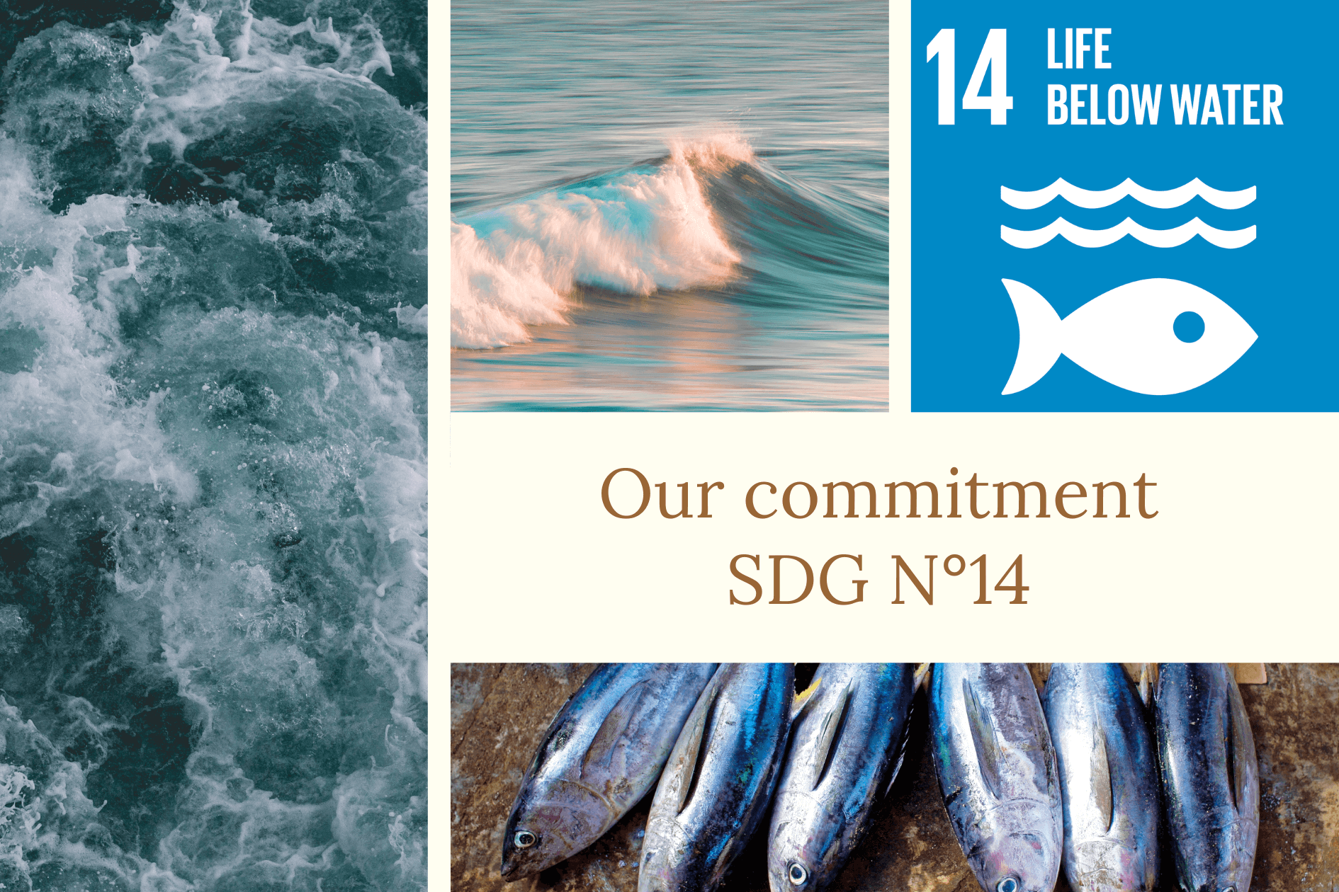 Commitment to Sustainable Development Goal, SDG 14: Aquatic Life -pH ...